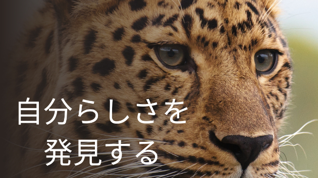 自己を成長させる男性性と女性性の役割｜玲⭐︎『内なる私』の目覚めをサポート｜coconalaブログ